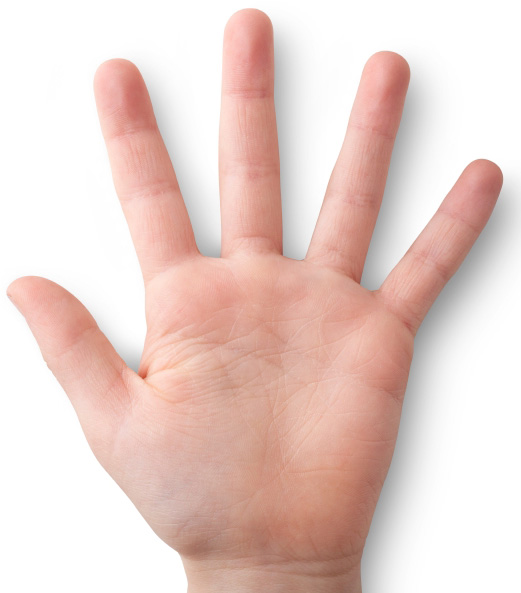 Advanced Source Code Com Hand Geometry Recognition System